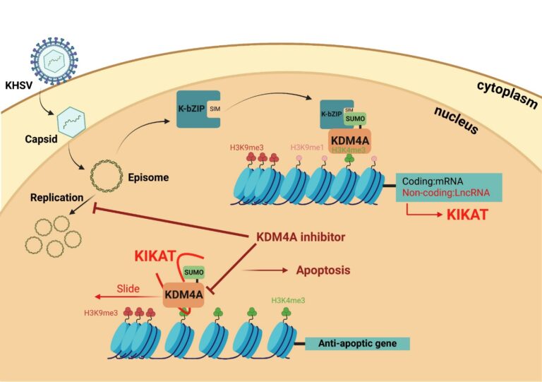 張佩靖教授Pei-Ching Chang - 國立陽明交通大學 微生物及免疫學研究所